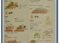 茼蒿种子怎么种_茼蒿种子几天发芽