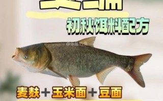 白鲢鱼爱吃什么饵料_自制饵料配方大全