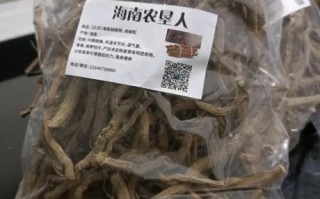 胡椒根煲汤有什么功效_胡椒根煲汤适合什么人喝