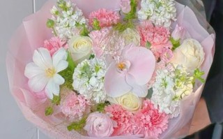 康乃馨花束图片大全_康乃馨花束适合送什么人