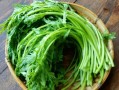 茼蒿图片怎么拍_茼蒿高清图哪里找