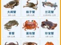 面包蟹和帝王蟹哪个好吃_口感区别与选购技巧