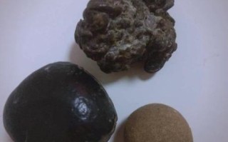 羊宝是啥_羊宝的功效与作用