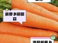 胡萝卜不能和什么一起吃_胡萝卜相克食物有哪些