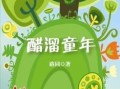 醋溜儿文学网怎么进不去了_醋溜儿文学网打不开怎么办
