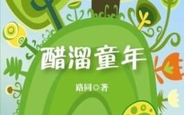 醋溜儿文学网怎么进不去了_醋溜儿文学网打不开怎么办