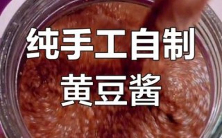 自制黄豆酱怎么做_家常黄豆酱配方