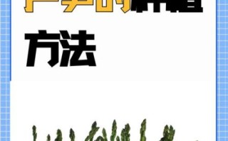 芦笋怎么种_芦笋种植方法步骤