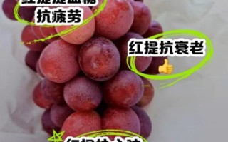 红提热量高吗_红提减肥能吃吗