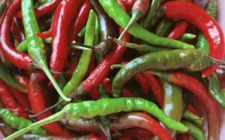 剁辣椒怎么保存_自制剁辣椒能放多久