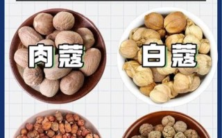 草果和肉蔻能一起炖肉吗_草果肉蔻炖肉比例是多少