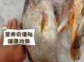 黄姑鱼怎么做好吃_黄姑鱼的营养价值