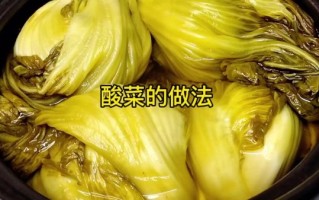 酸菜怎么做好吃_酸菜可以做什么菜