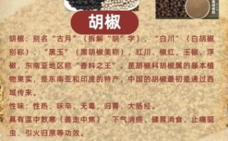 白胡椒和黑胡椒的区别_哪个更好