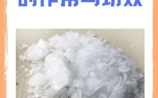 冰片的功效与作用_冰片外用方法