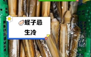 孕妇能吃蛏子吗_孕晚期吃蛏子注意事项