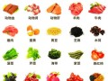 补铁补血最快的食物_吃什么补血最快