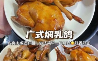 红烧乳鸽怎么做_红烧乳鸽的做法视频
