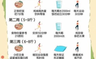 节食减肥的正确方法_节食减肥不反弹怎么做