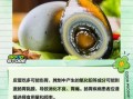 经常吃皮蛋有危害吗_皮蛋吃多了会怎样