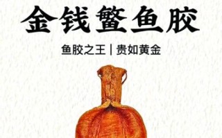 金钱鳘多少钱一斤_金钱鳘为什么这么贵
