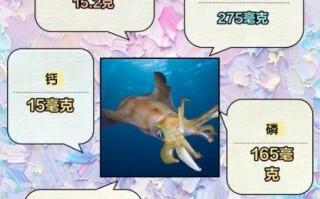 墨鱼的墨汁什么味道_能吃吗