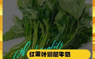 红薯叶与什么相克_红薯叶不能和什么一起吃