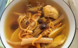 虫草茶树菇鸡汤怎么做_虫草茶树菇鸡汤的功效