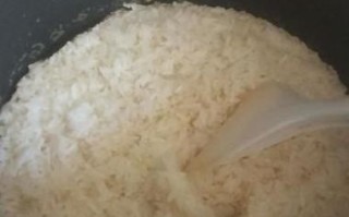 大米的一百种做法_如何蒸出颗粒分明