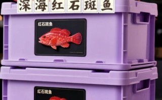 红石斑鱼图片大全大图_红石斑鱼怎么做好吃