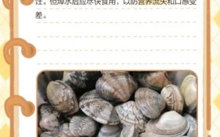 花甲怎么保存_花甲能放冰箱多久