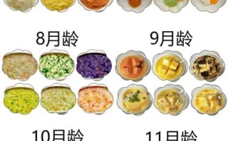 宝宝辅食添加顺序_宝宝辅食几个月开始