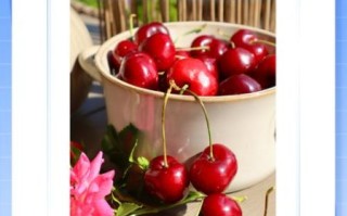 糖尿病可以吃樱桃吗_樱桃升糖指数高吗
