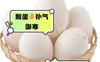 鹅蛋提高记忆力偏方_鹅蛋怎么吃最补脑
