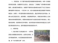 地理野外考察怎么做_地理野外考察注意事项