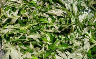 艾粄怎样做才更绿油油_艾草保色秘诀