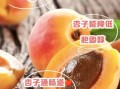 杏子的功效与作用是什么_吃杏子有什么好处