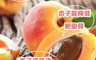杏子的功效与作用是什么_吃杏子有什么好处