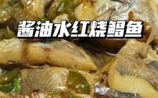 冻的海鱼怎么做好吃_解冻后如何保持鲜嫩