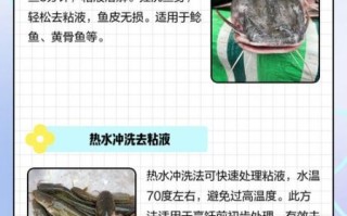 鲶鱼怎么去除粘液_鲶鱼去粘液用什么方法 鲶鱼怎么去除粘液_鲶鱼去粘液用什么方法