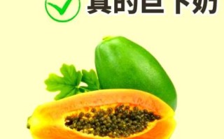 木瓜炖牛奶催奶吗_木瓜炖牛奶下奶效果怎么样