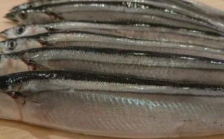 秋刀鱼的功效与作用_秋刀鱼的营养价值高吗