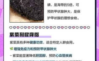 紫菜的营养价值_紫菜有哪些功效与作用