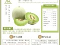白兰瓜和香瓜的区别_哪个更甜更好吃