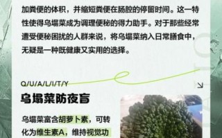 乌塌菜的营养价值_乌塌菜怎么吃最营养