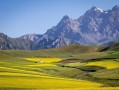 祁连县旅游景点有哪些_祁连山草原怎么去