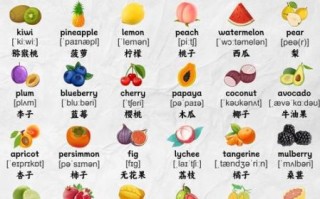 水果英语视频怎么学_水果英语单词有哪些