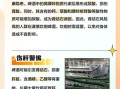 每天喝一瓶啤酒对身体好吗_长期喝啤酒有哪些危害