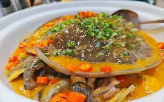 红烧甲鱼怎么做才好吃_红烧甲鱼去腥技巧