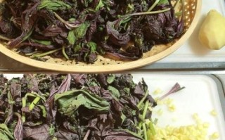 苏子叶冷冻保存能放多久_苏子叶怎么冷冻保存